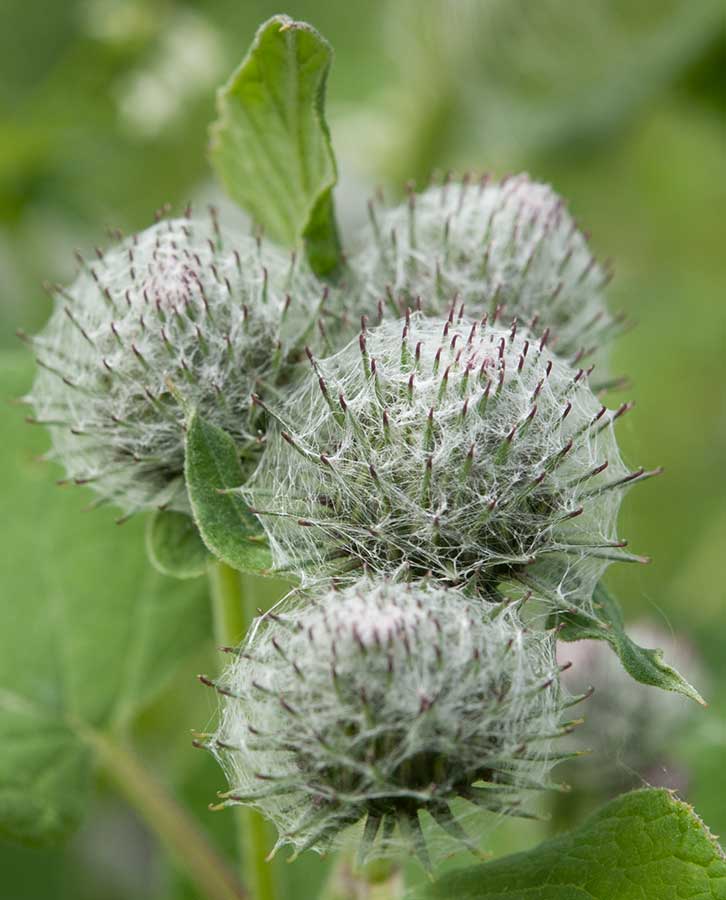 Kletten: Was beim ankletten so alles passieren kann...